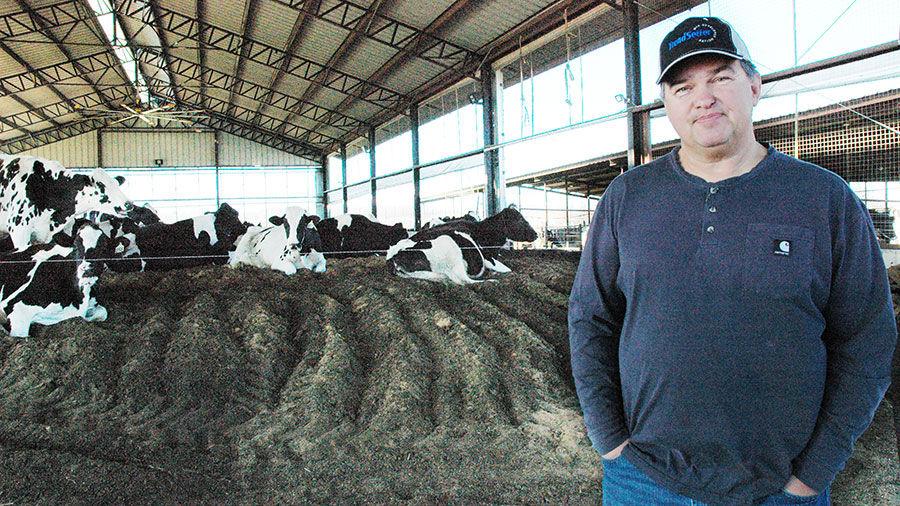 Compost-bedded pack barns could raise production | Livestock | agupdate.com