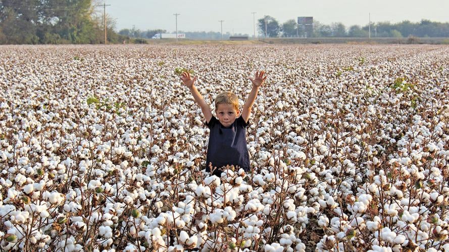 Cotton carnival fetes Sikeston’s ag heritage