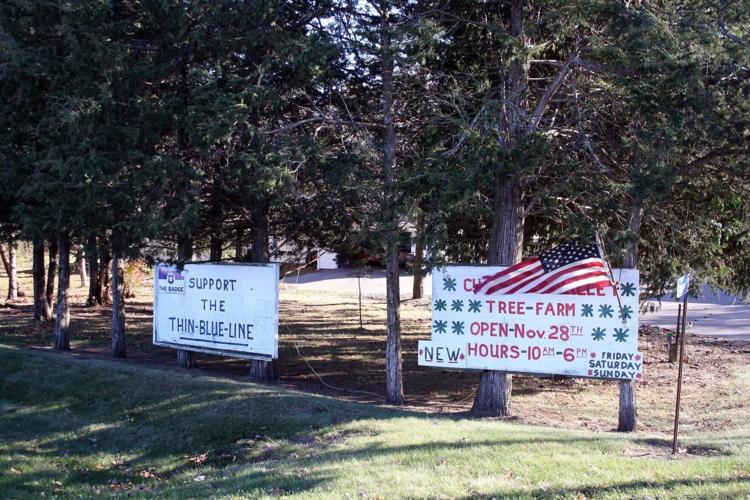 Tree farm celebrates 50 years