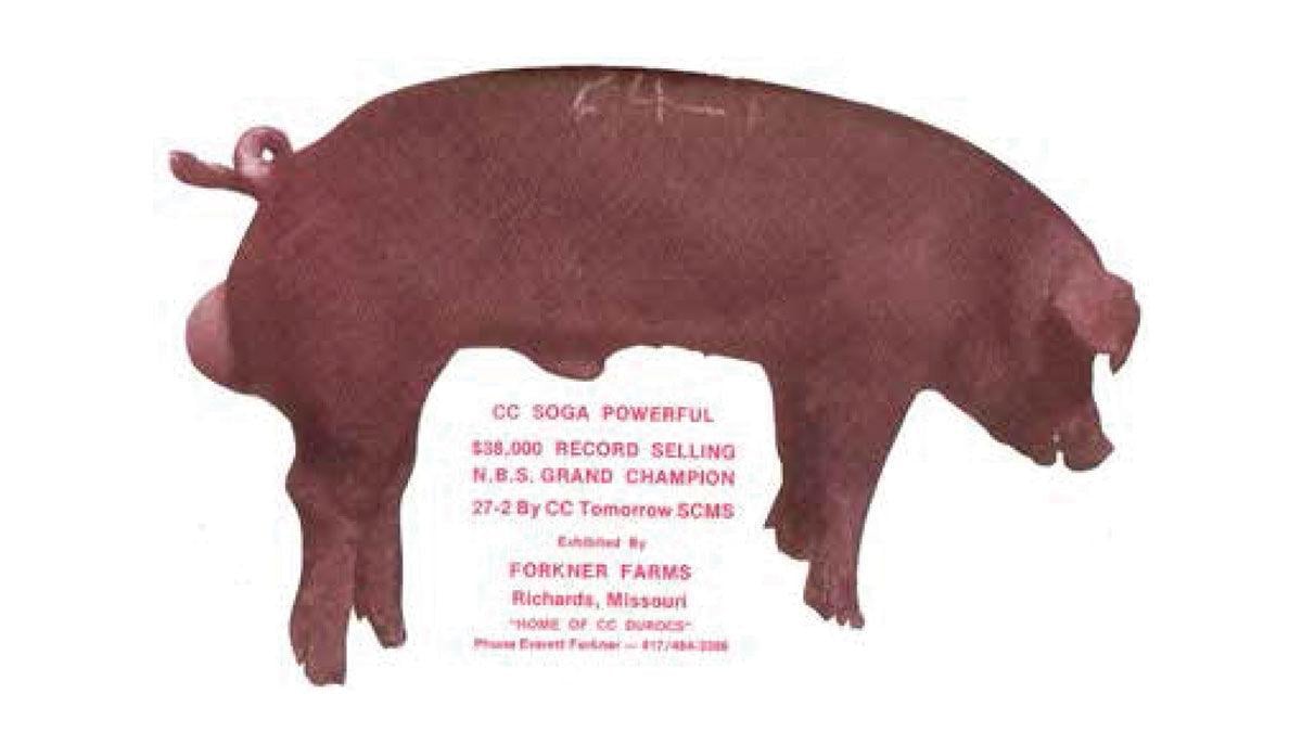 Duroc boar set record with sale to Japan