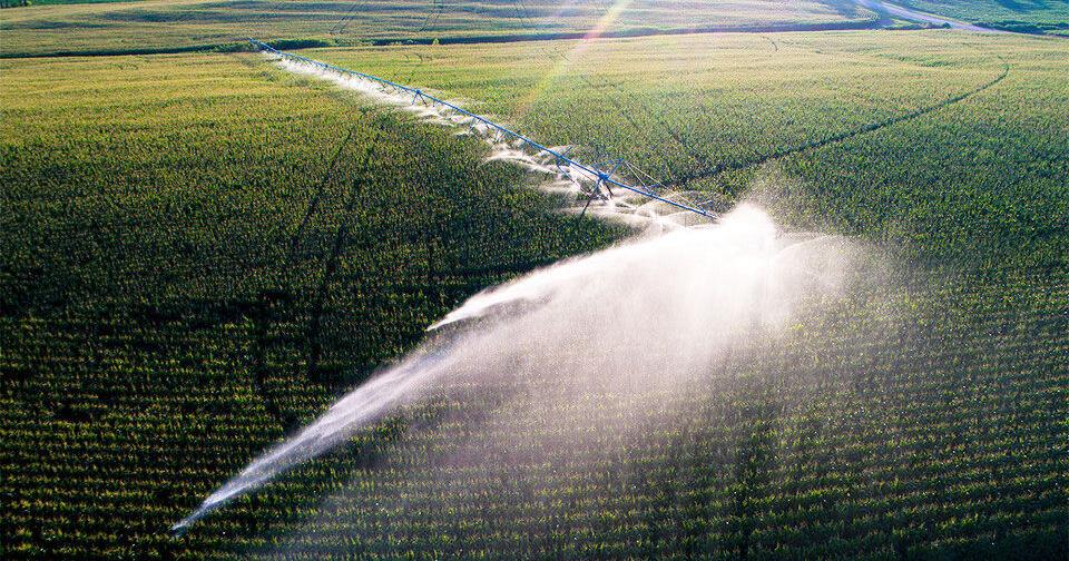 Study: Aquifer depletion threatens crop yields