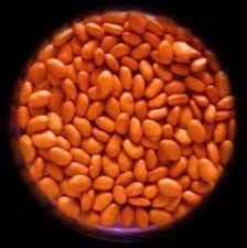 Tepary beans have resiliency