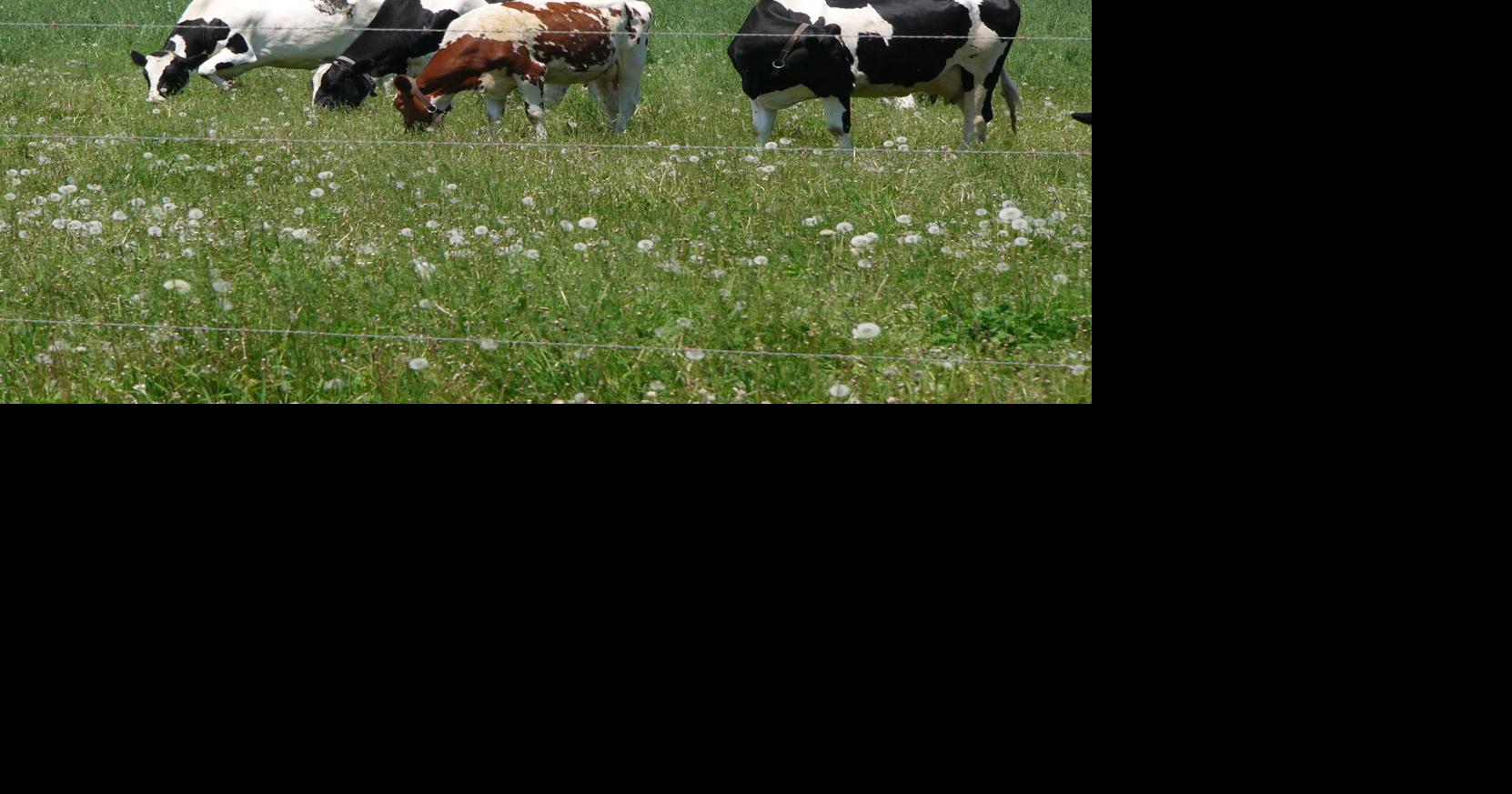 Wisconsin grazing conference offered