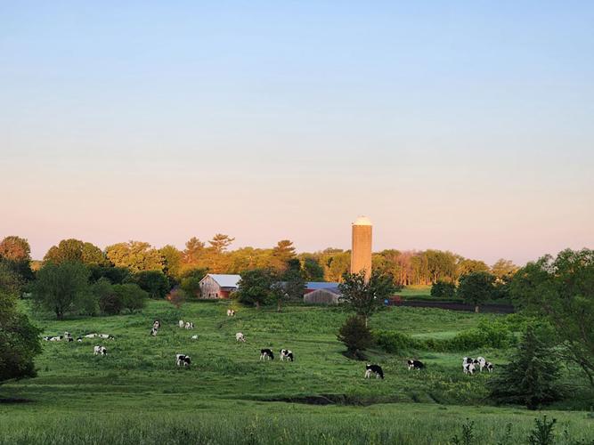 Generations work together to bring new ideas to dairy