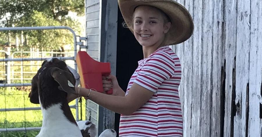 No kidding: Nebraska 4-H goat program keeps growing