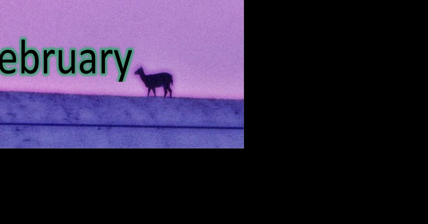 Calendar: In the World of Ag