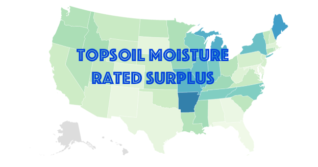 It rained a lot, now what?