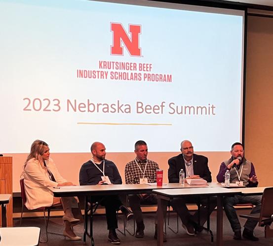 Fat cattle market outlook: $2 just a dream