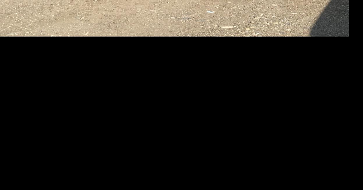 Contest tests youths’ tractor restoration knowledge