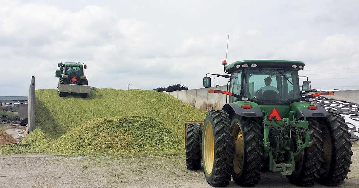 Extension offers silage tips for dry corn