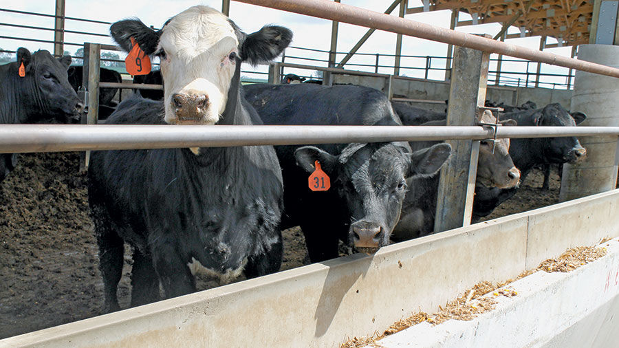 Required CAFO training offered in Huron