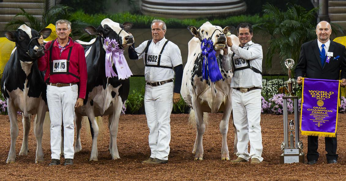 Holstein winners named