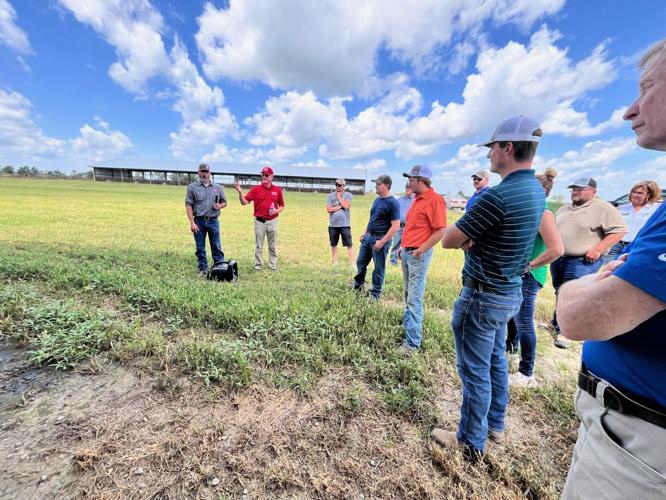 Raise the roof for cattle confinement barns