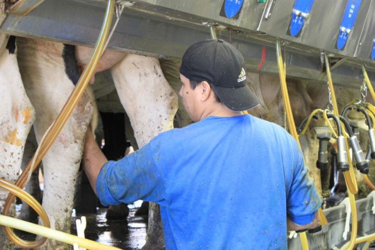 Recruit, retain and reward: Creating employee compensation that works