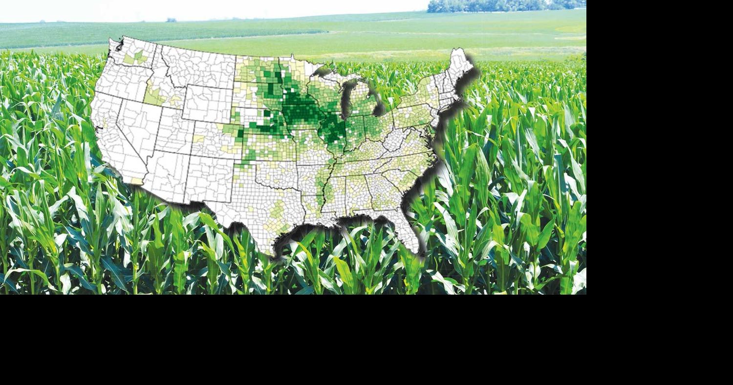 Changing climate may shift the Corn Belt slightly