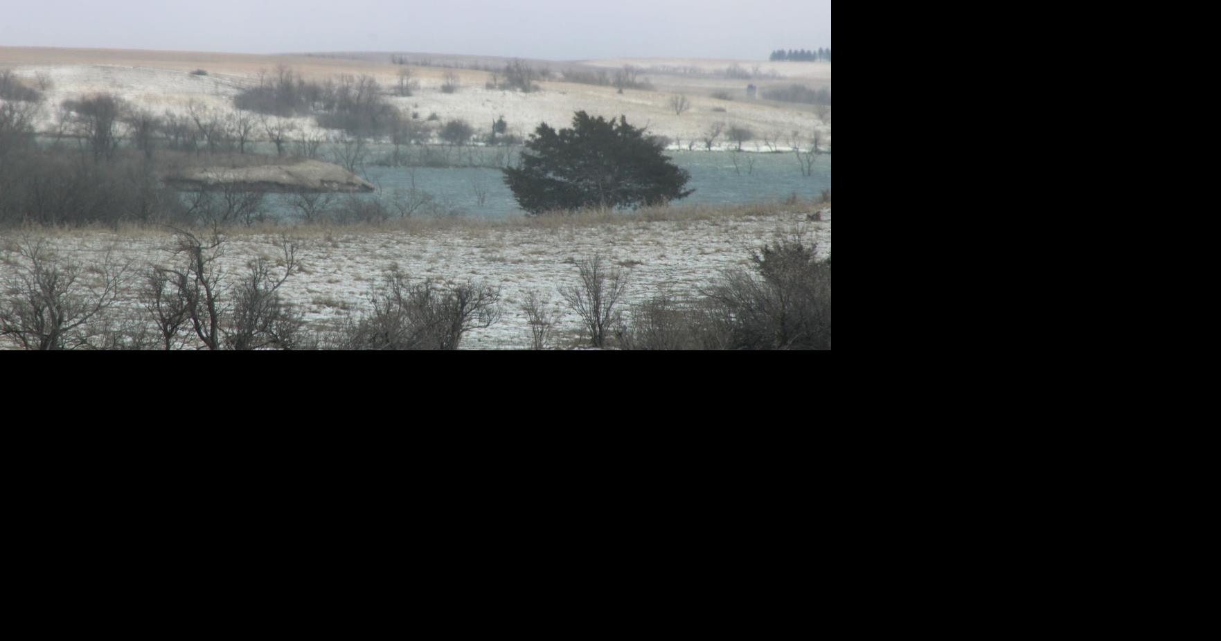 Crop Watcher: Wet, then dry - 2020 weather was up and down