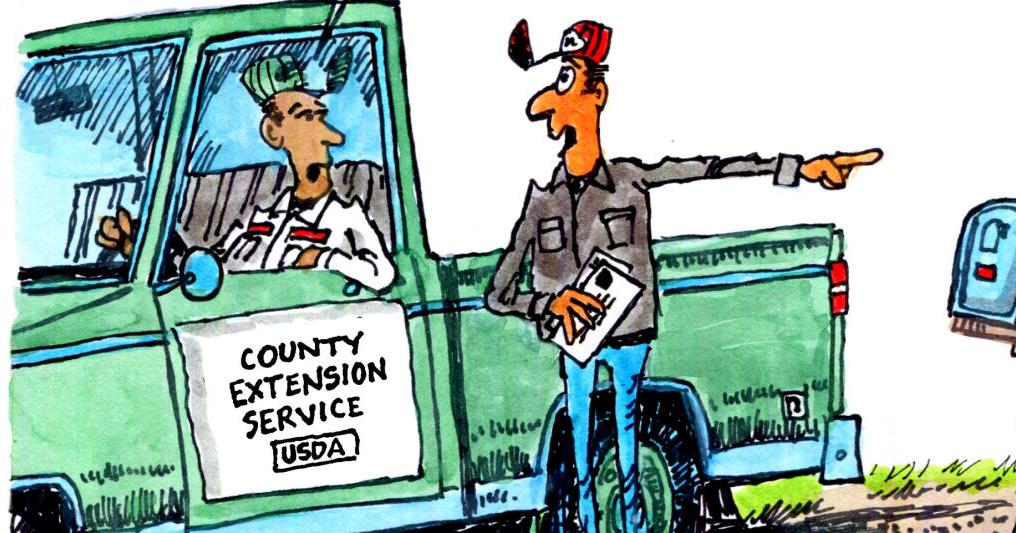 Corn Time by Bob Lang