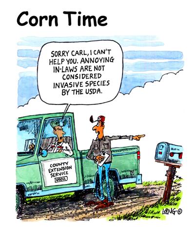 Corn Time by Bob Lang