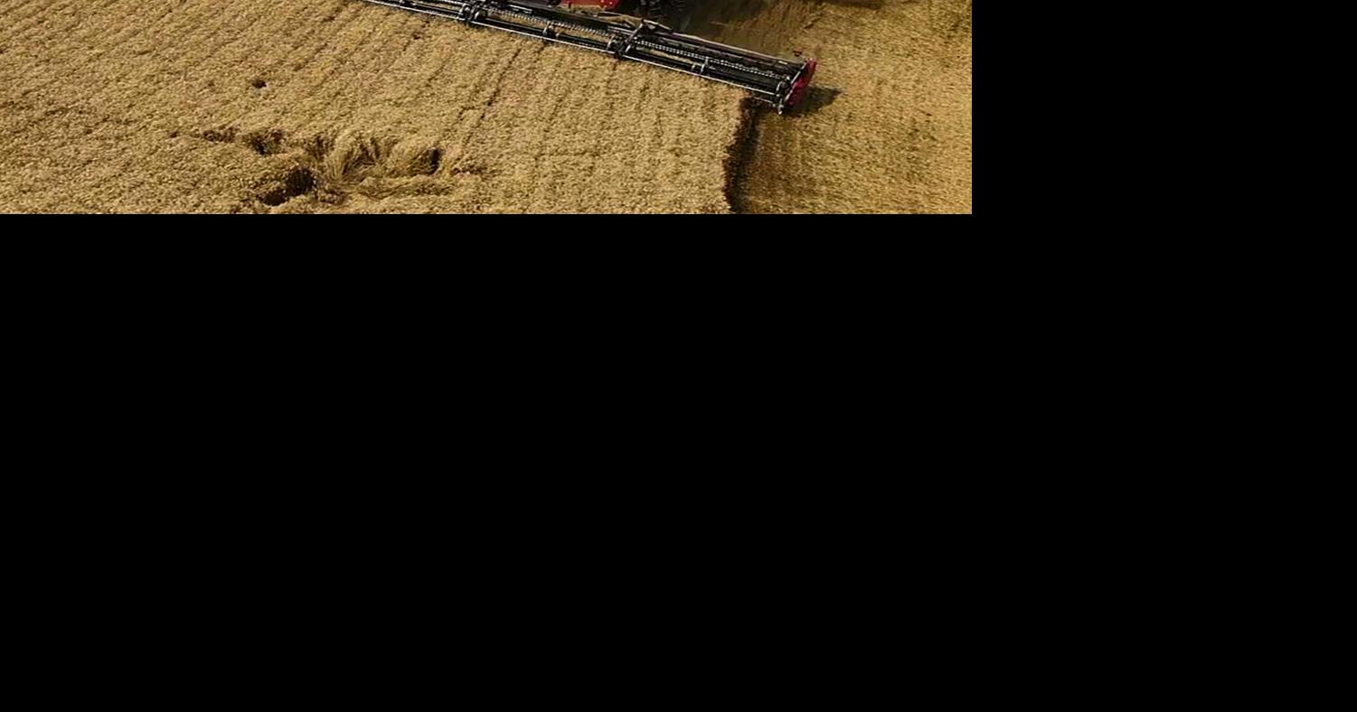 From the Fields: LeeAnne Bulman with Kaleb Ellis