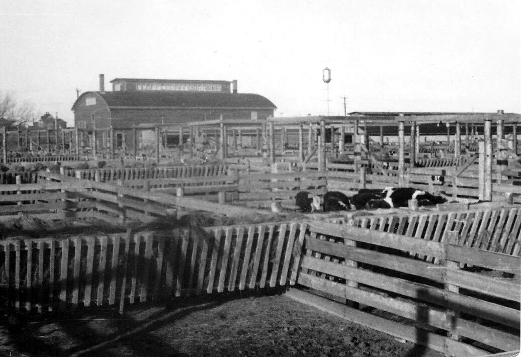 Kimball Livestock Exchange: A cattleman’s legacy