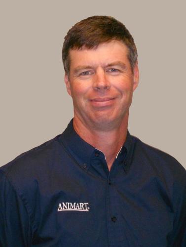 What to do about ringworm