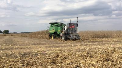 Destroying seed key to chemical-free weed control