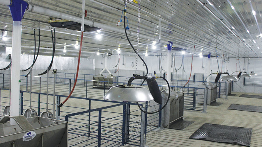 Few hog buildings financed without contracts