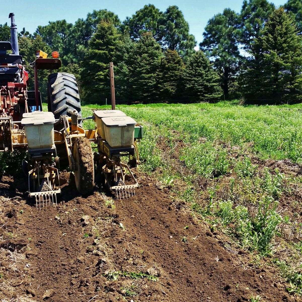 Seasoned farmer deals with changing climate | Business | agupdate.com