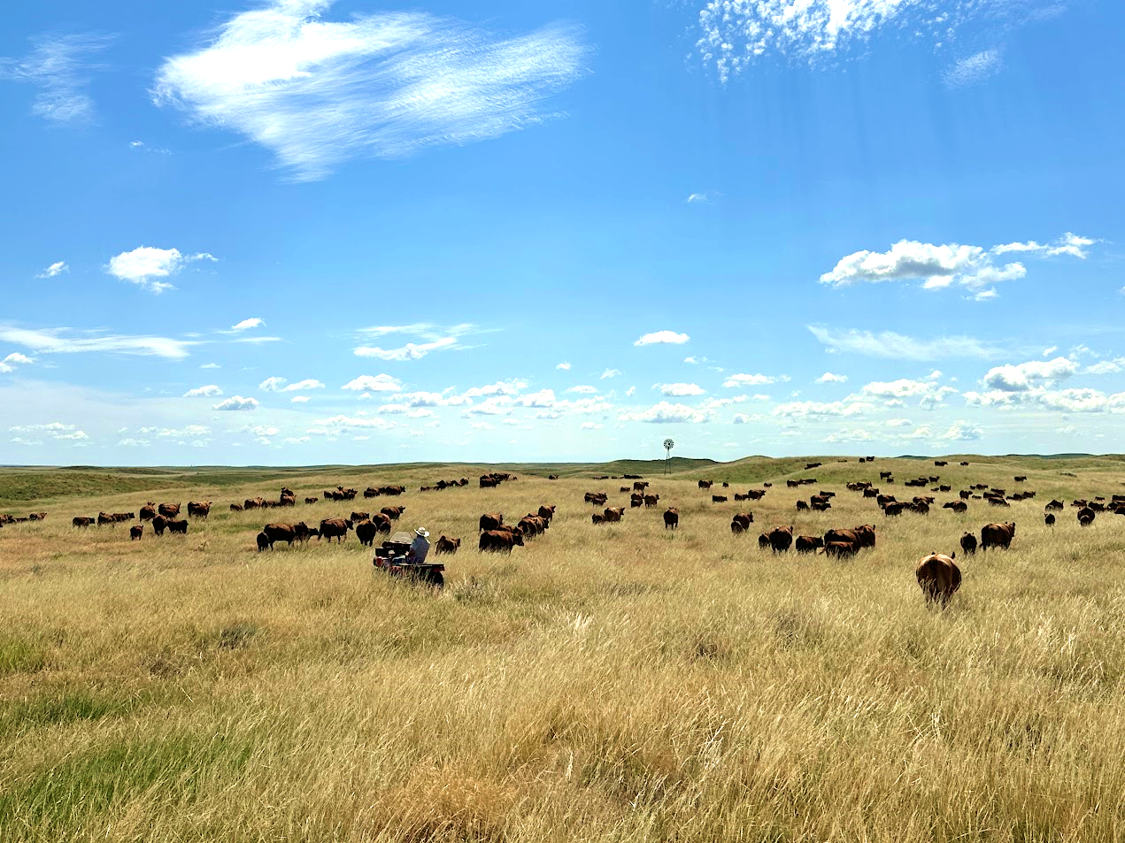 Schuler Red Angus receives Nebraska Leopold Conservation Award