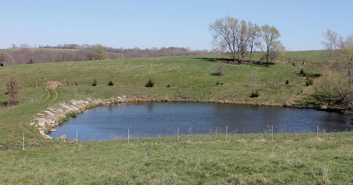 Strategies to stock farm ponds this spring