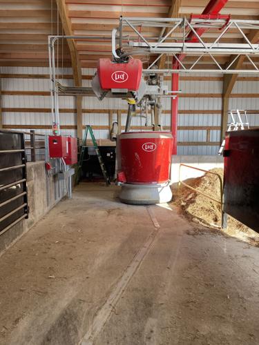 Wendlandt Farms uses technology to care for beef cattle