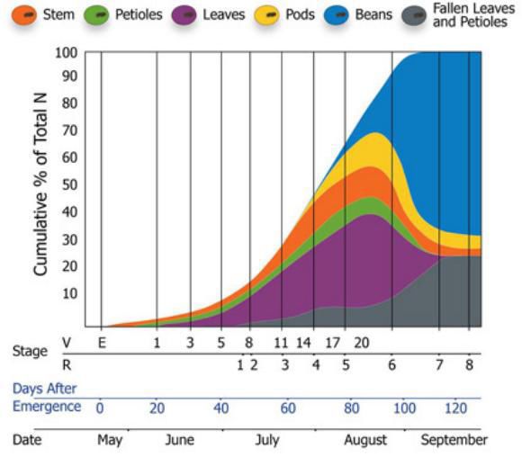 Soybean Nutrient Uptake Chart My Xxx Hot Girl
