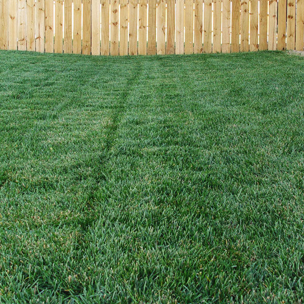 Sodbusters: Sod farmers keep busy year-round