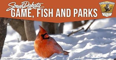 South Dakota Game, Fish and Parks food program offers free seed