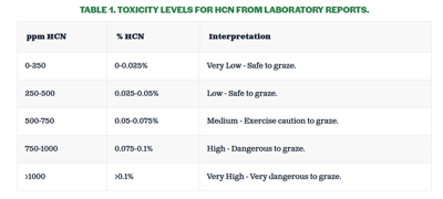 Drought hikes risk of prussic acid poisioning