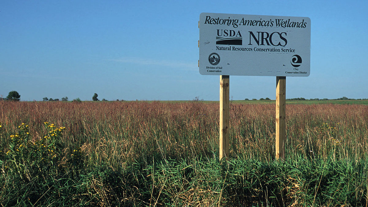 USDA invites input on Agricultural Conservation Easement rule