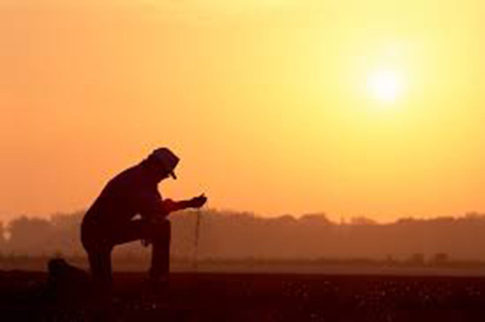 Farmers have resources for dealing with pandemic-related stress