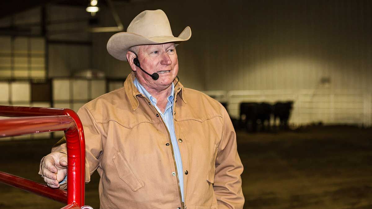 Good stockmanship can improve performance