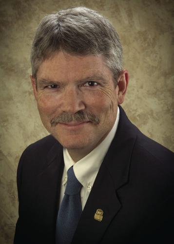 Submit Angus bulls' production