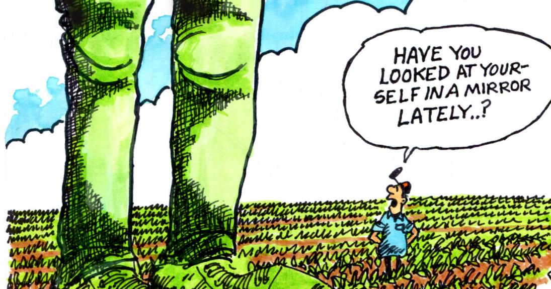 Corn Time by Bob Lang