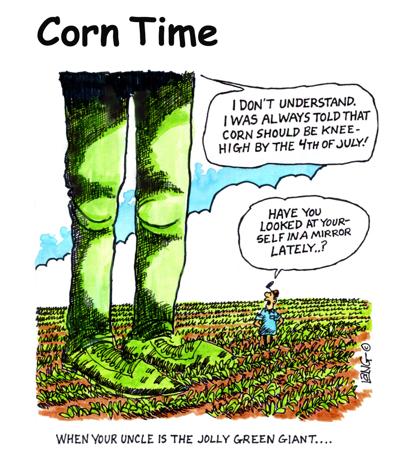 Corn Time by Bob Lang