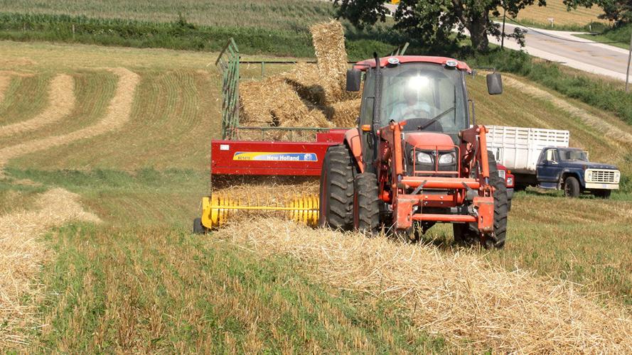 Oat growers see demand for once-widespread crop