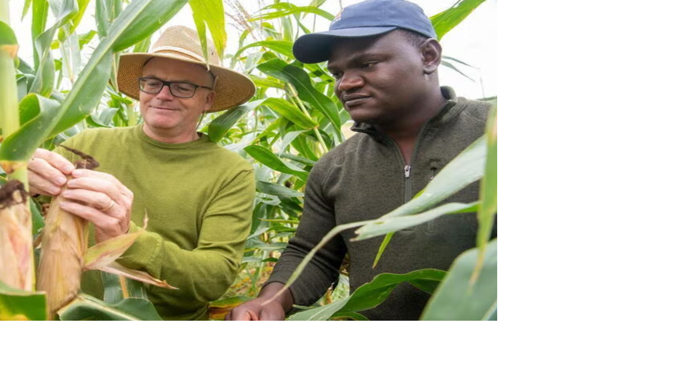 Study shows public seed banks can fast-track research