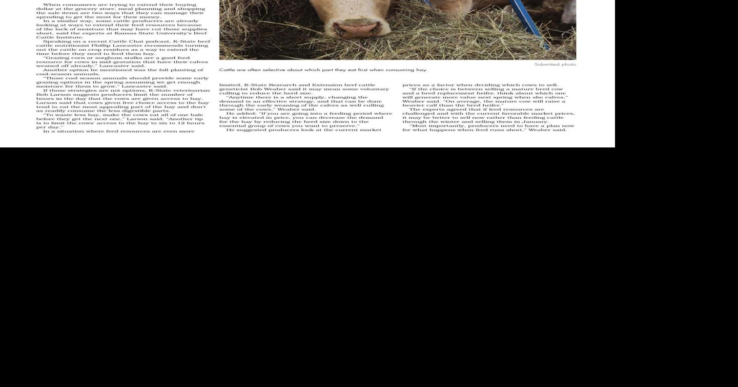 Livestock Roundup 11-10-23