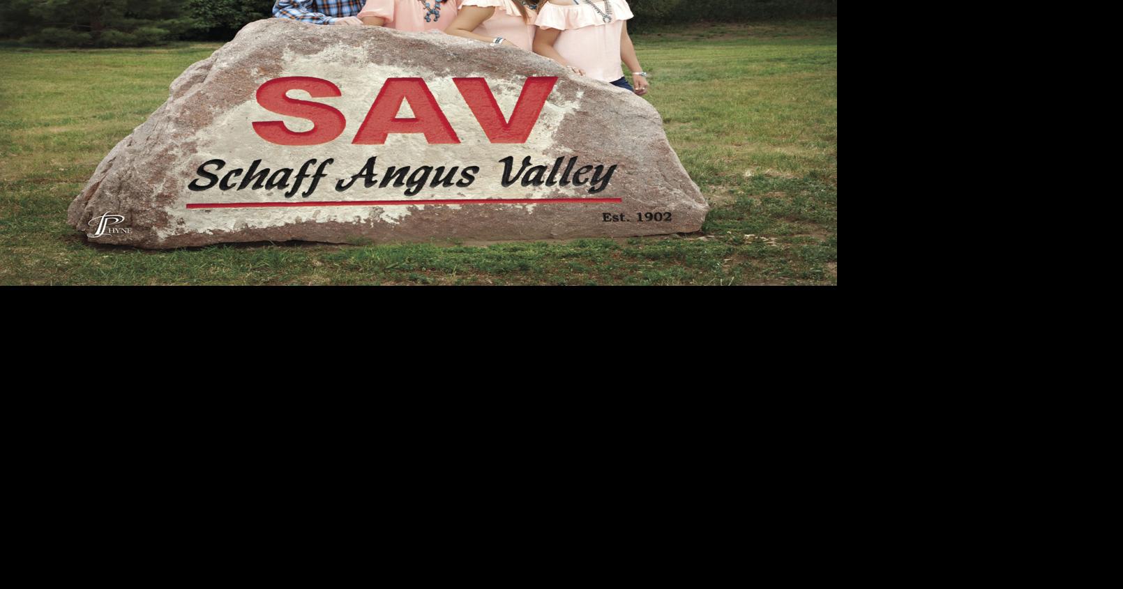 Schaff Angus Valley sets highest-selling bull record