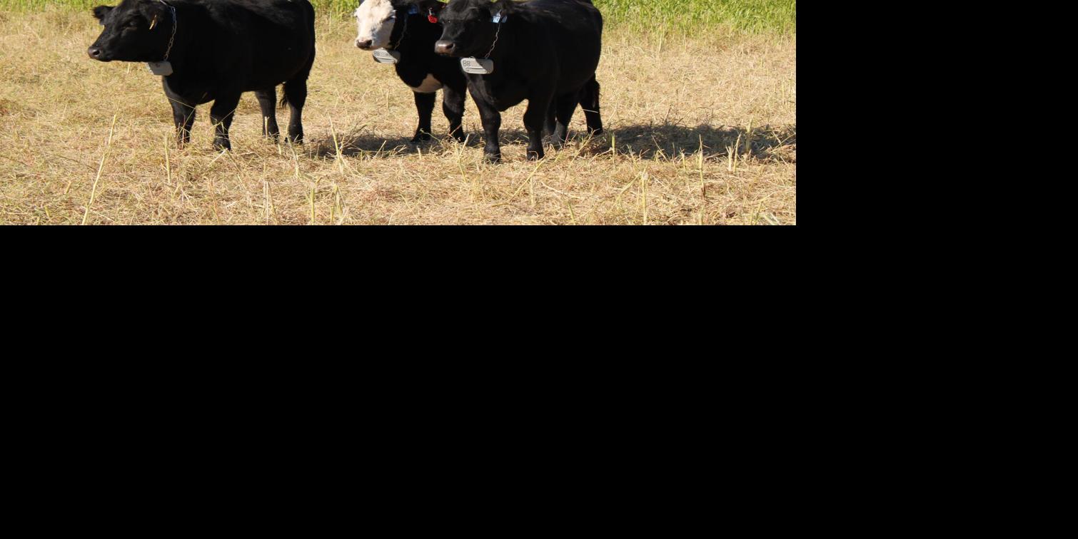 Trump demands lower prices