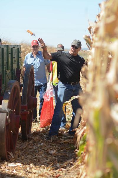 National Corn Husking competition returns to Nebraska