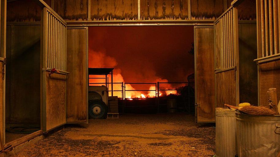 Protect animals in fire emergency