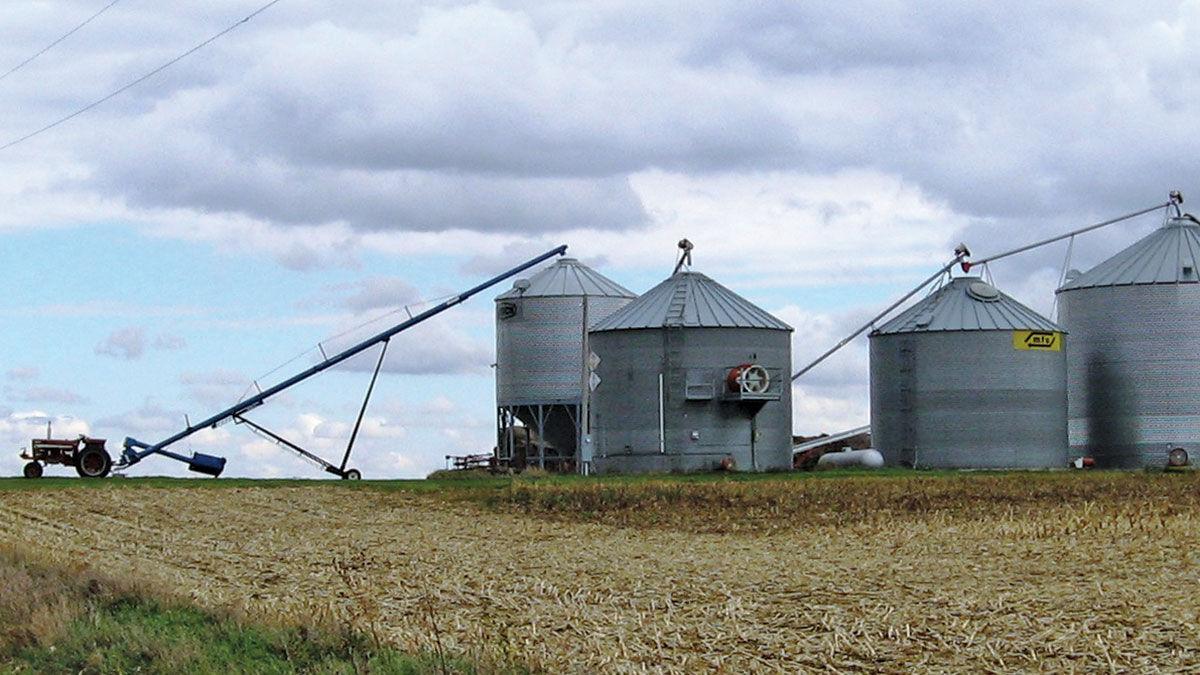 Tips for handling and storing damaged grain