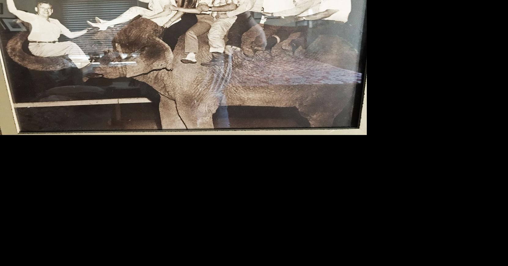 Looking Back: An elephant in Nebraska